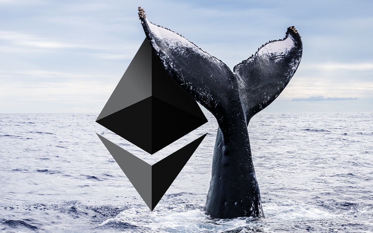 Best Crypto to Buy Now With ETH Whales Back in Accumulation Mode ...