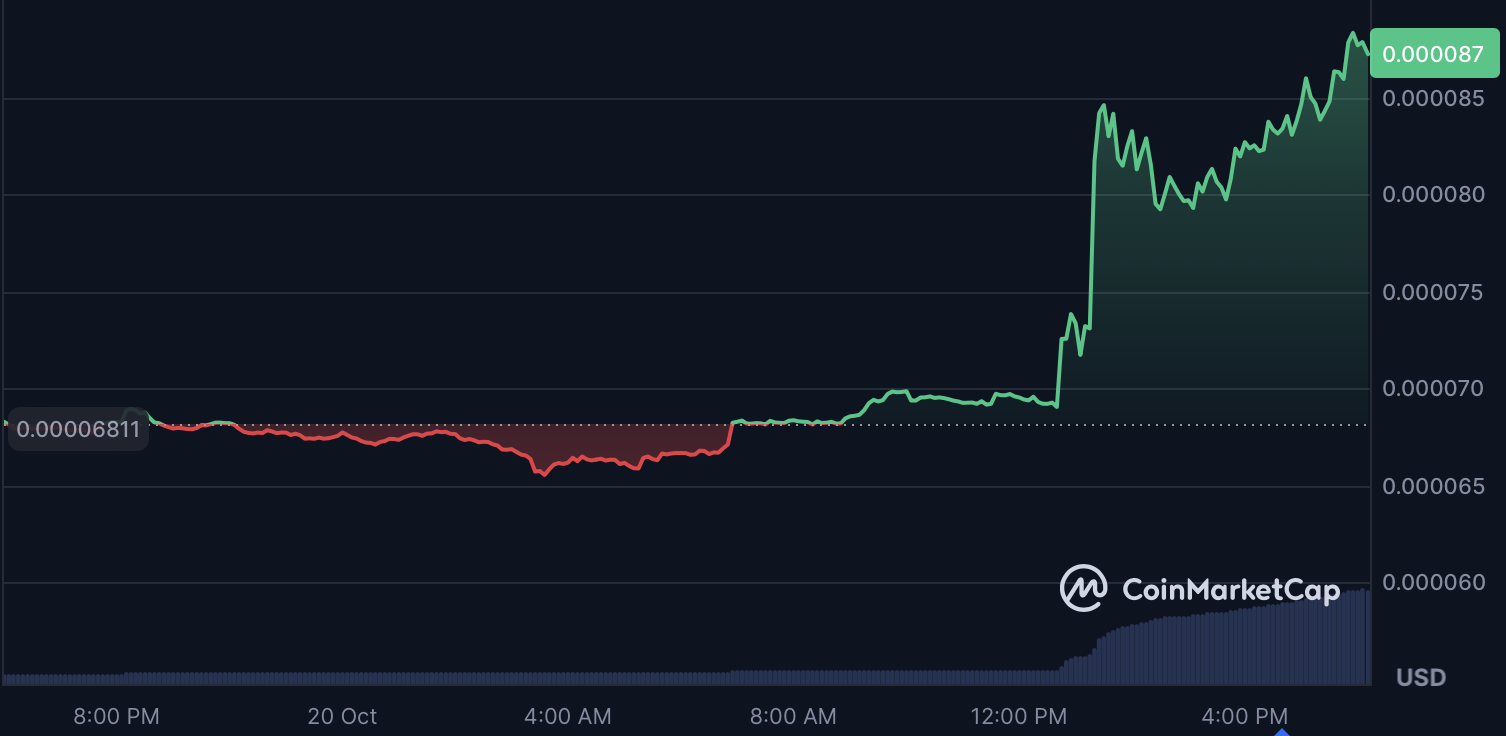 Elon Musk Sparks Floki Meme Coin Surge